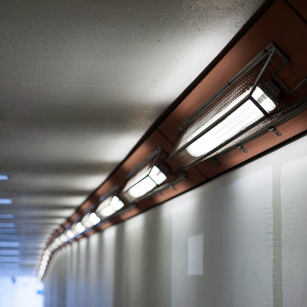 Bulkhead Emergency Lights – WME